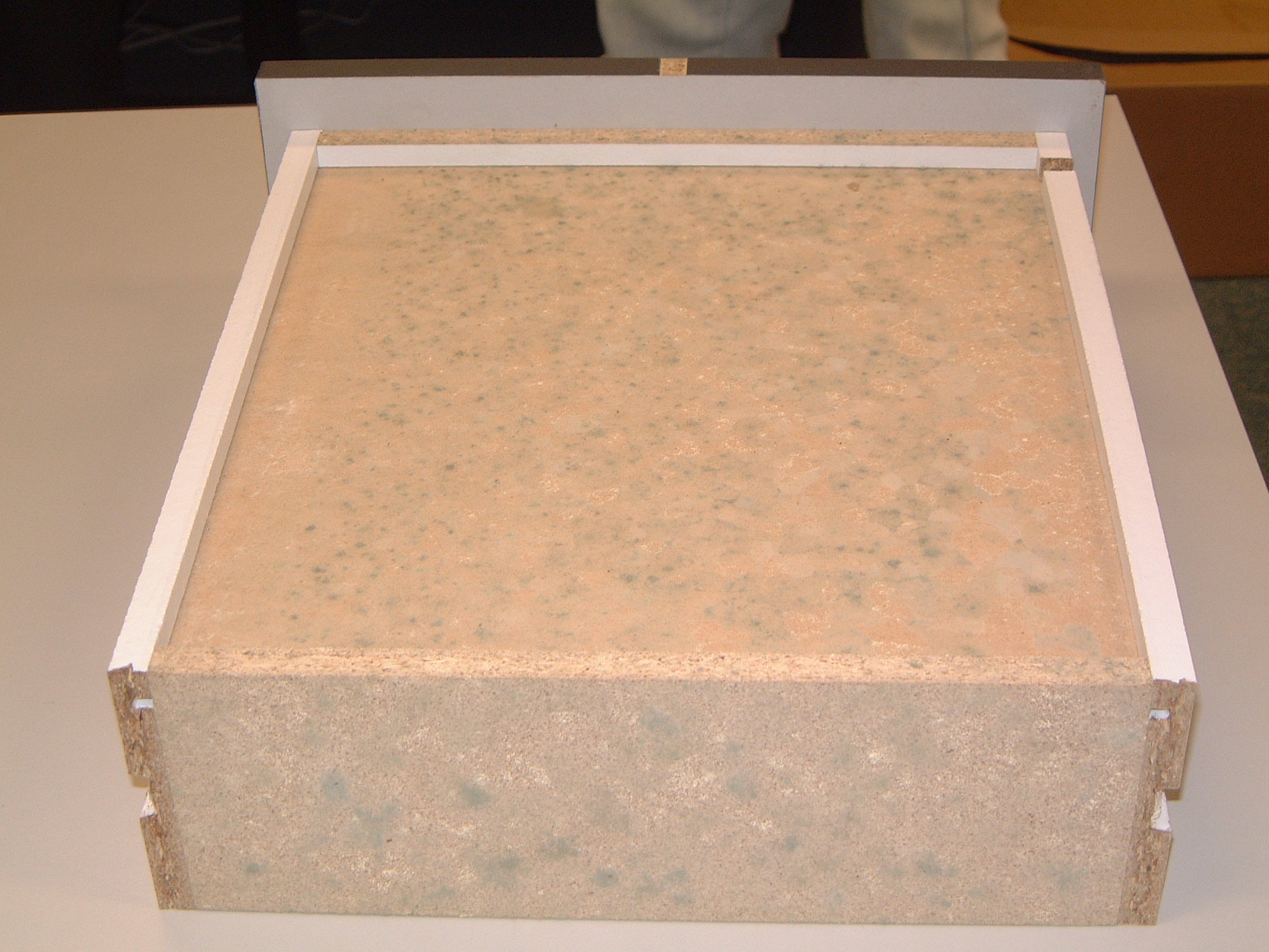 Mold removal from affected surfaces. - Big Red Singapore