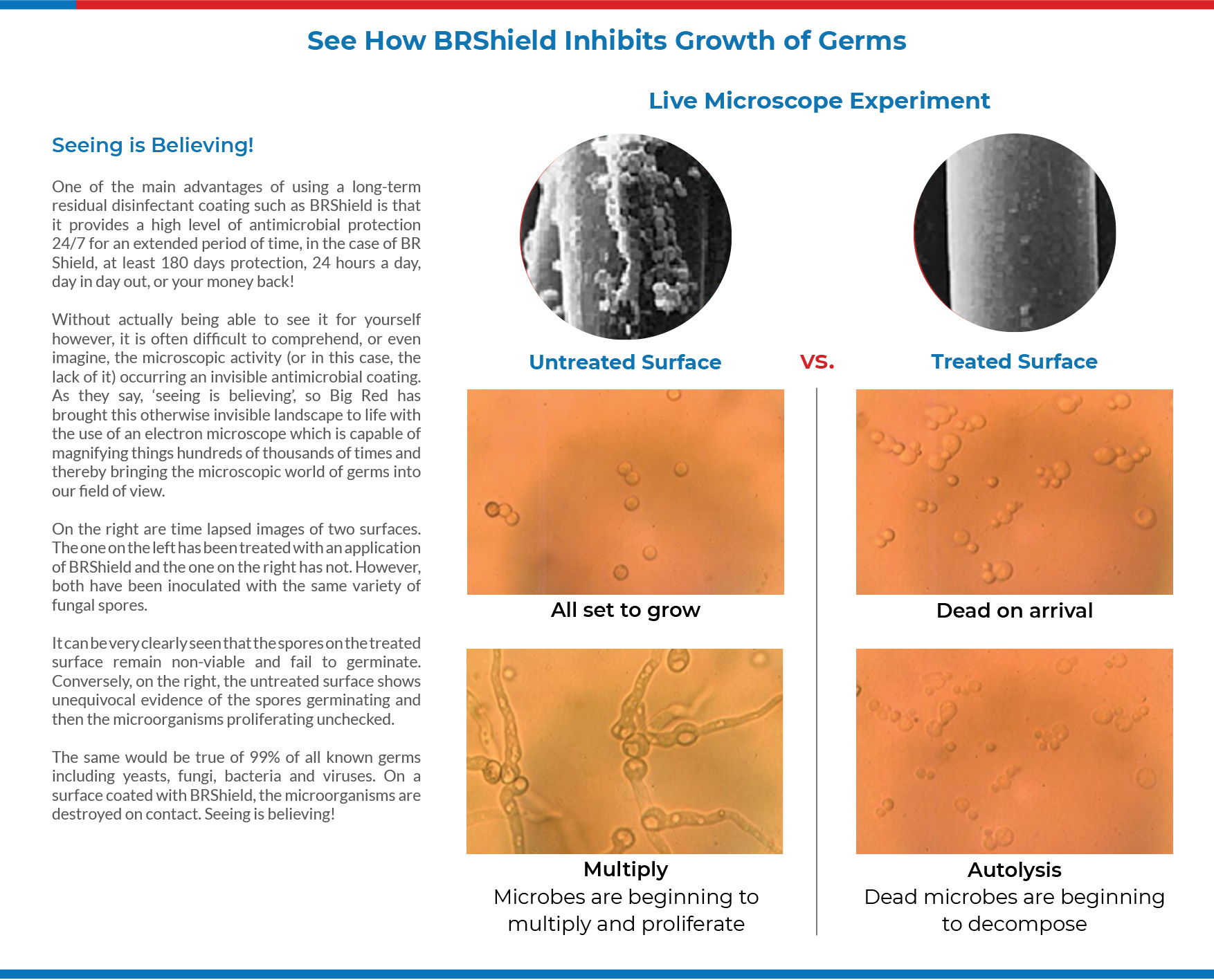 Antimicrobial Coating Singapore | BR Shield by Big Red Singapore