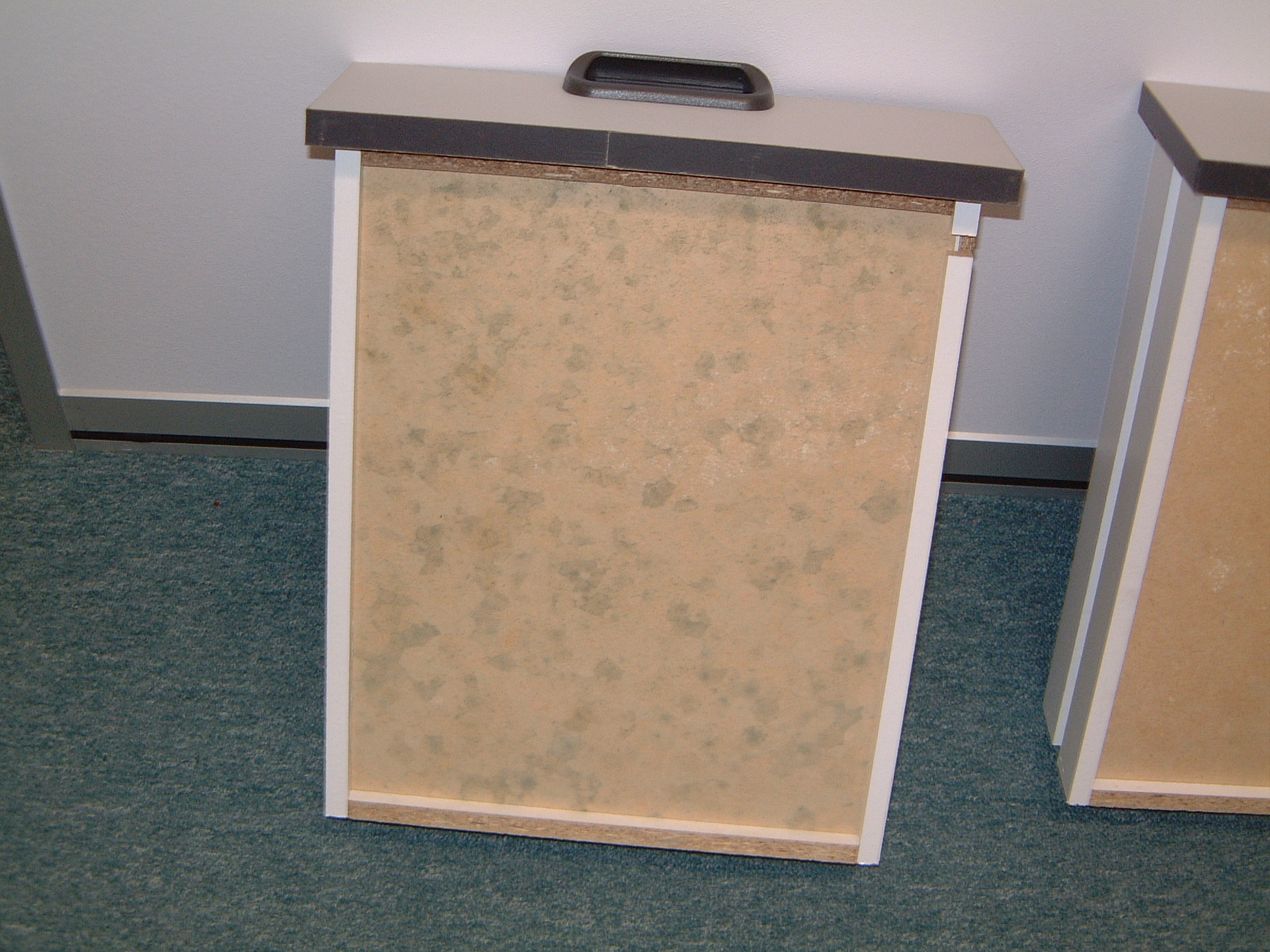 Mold removal from affected surfaces. - Big Red Singapore