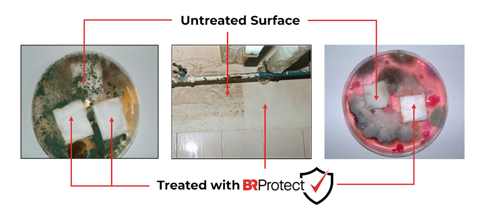 BR Protect Antimicrobial Coating Spray | Big Red Singapore