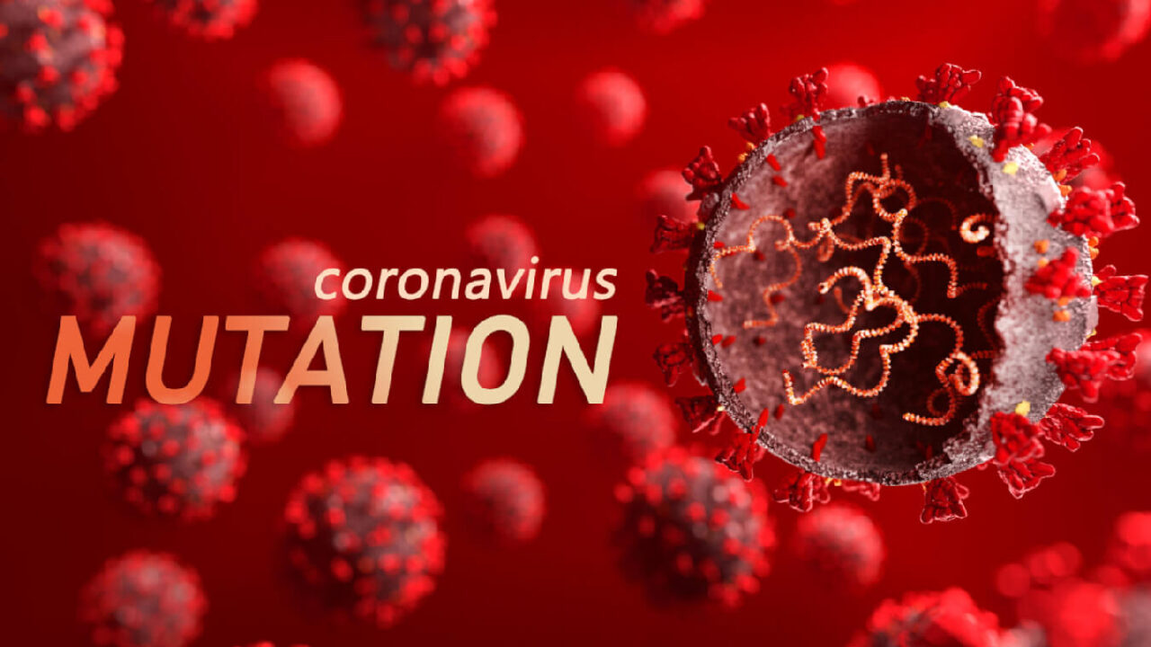New Variant Strains of the Coronavirus (Covid-19) – What You Should ...