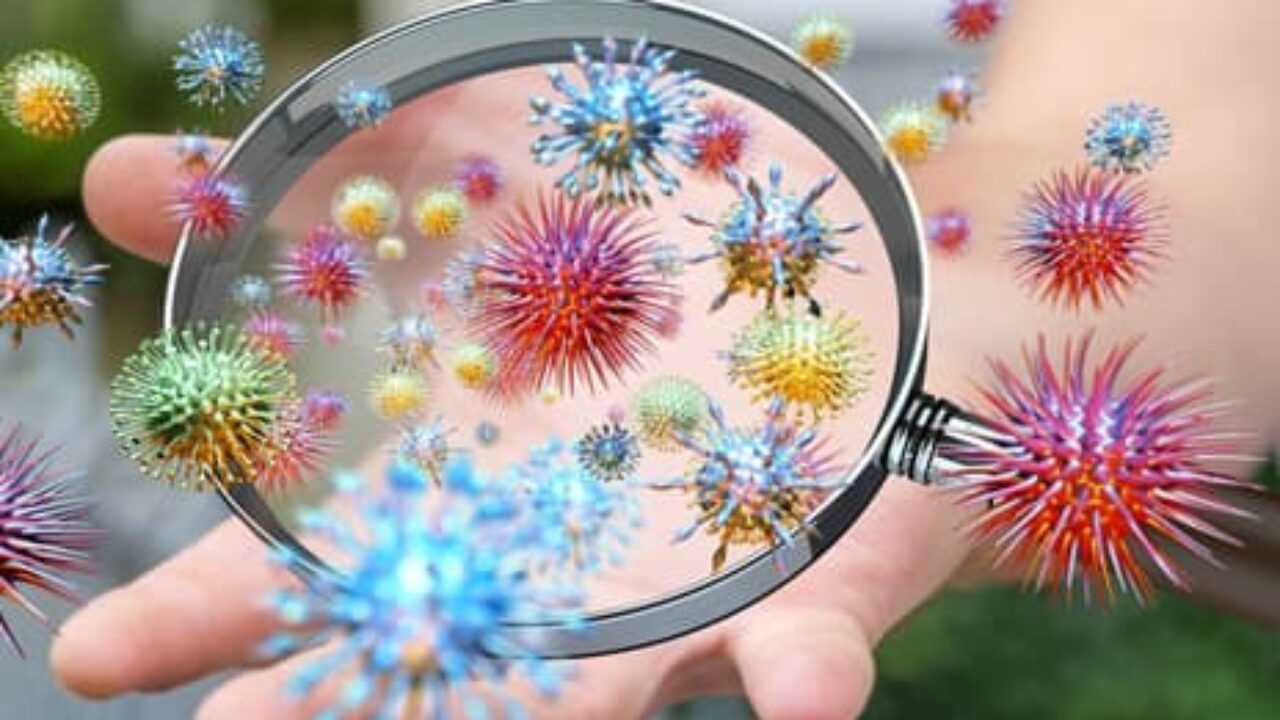 Fomites and Their Role in the Spread of Bacteria and Viruses | Big Red ...