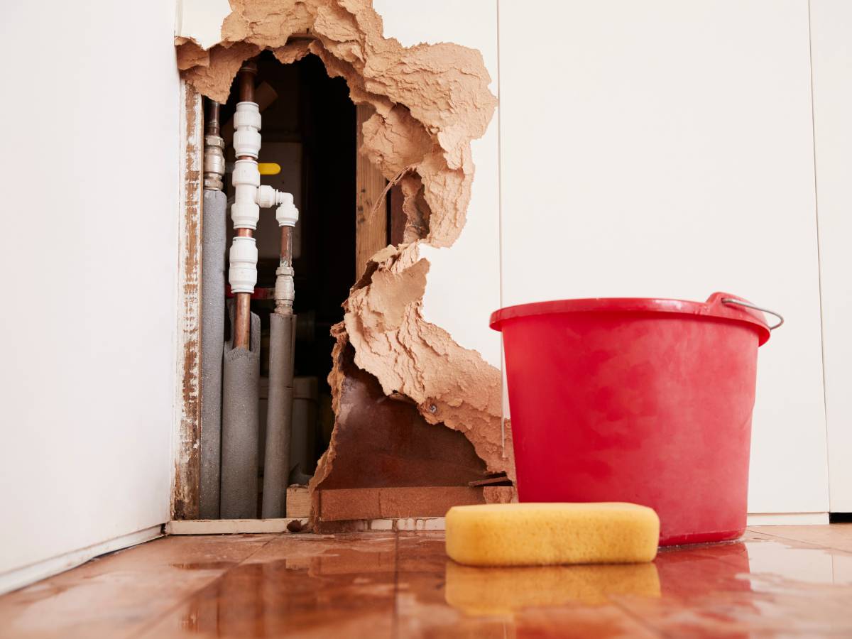 Water Damage - What to Look Out For? | Big Red Singapore