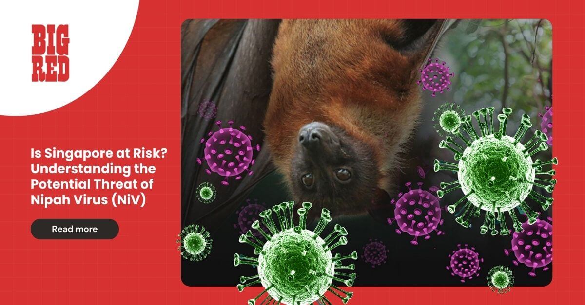 Is Singapore at Risk? Understanding the Potential Threat of Nipah Virus ...